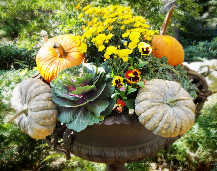 Connecticut Landscape Design - Fall Foliage - Autumn Landscaping